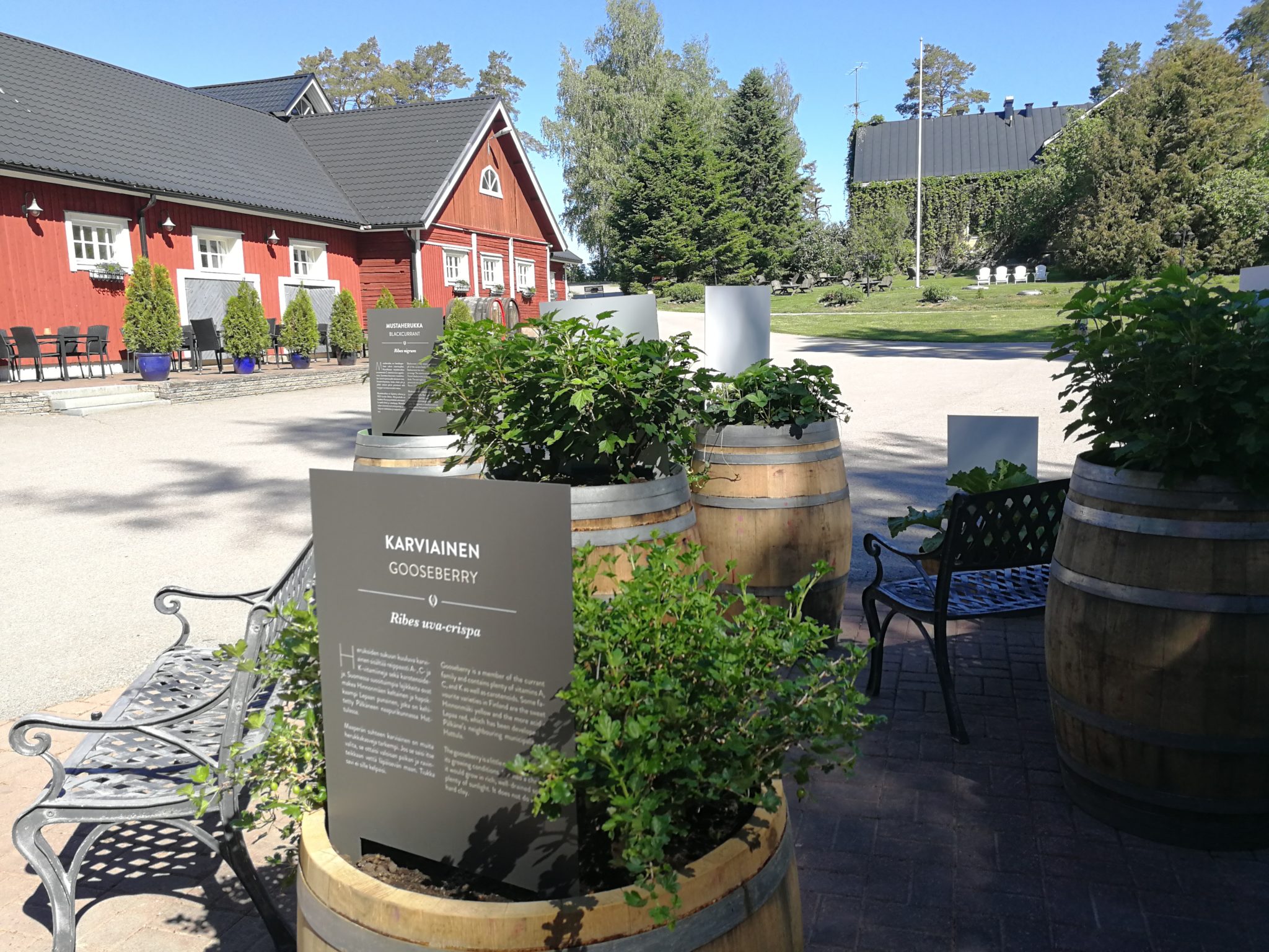 Rönnvikin viinitila